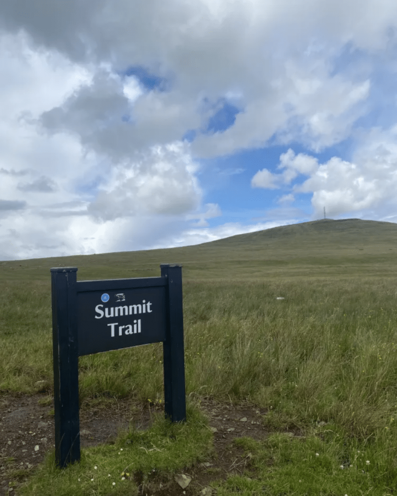 Divis and the Black Mountain Summit Trail - Best Bark - Dog Friendly ...