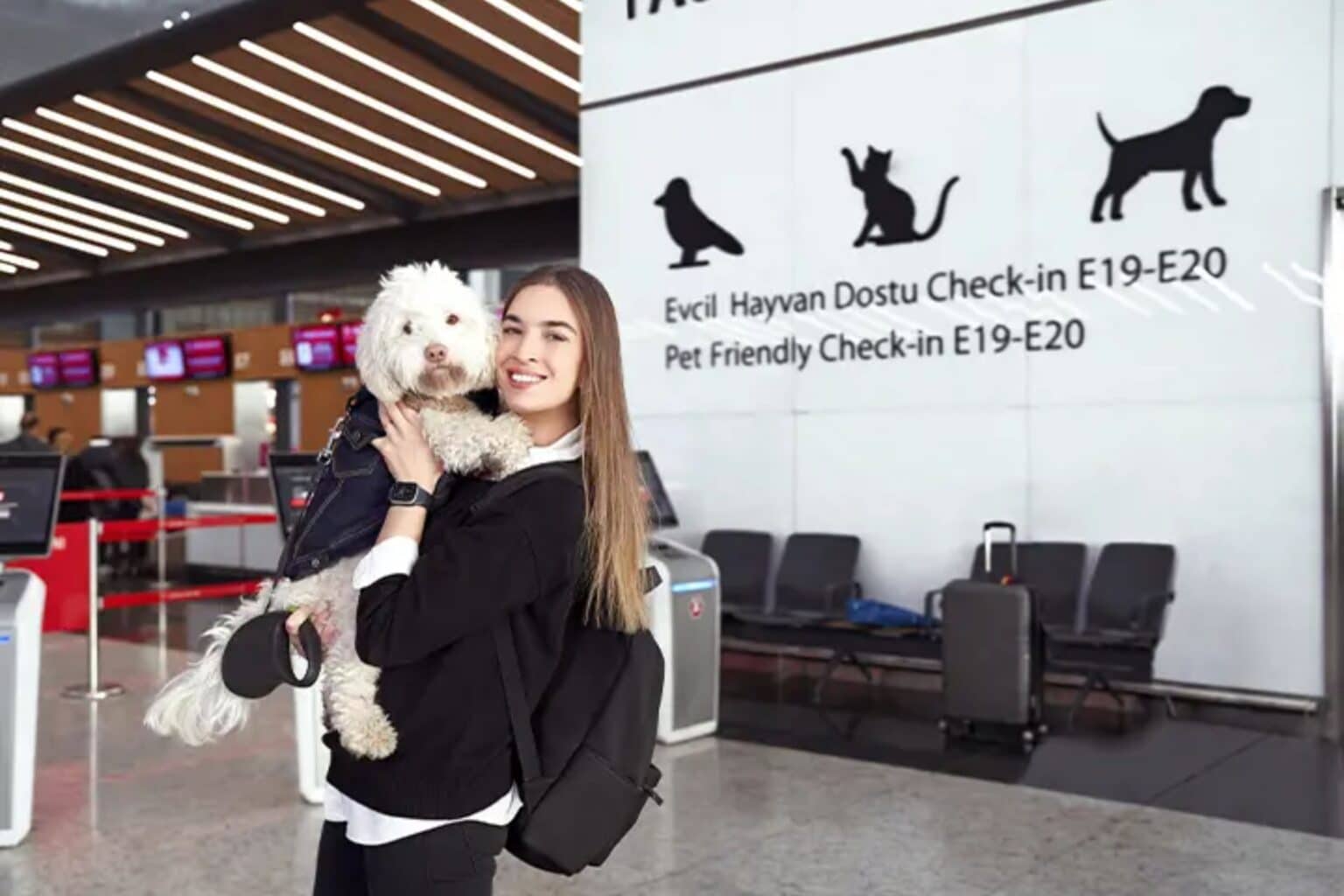 Best Dog-Friendly Airports for Stress-Free Travel : A How To Guide
